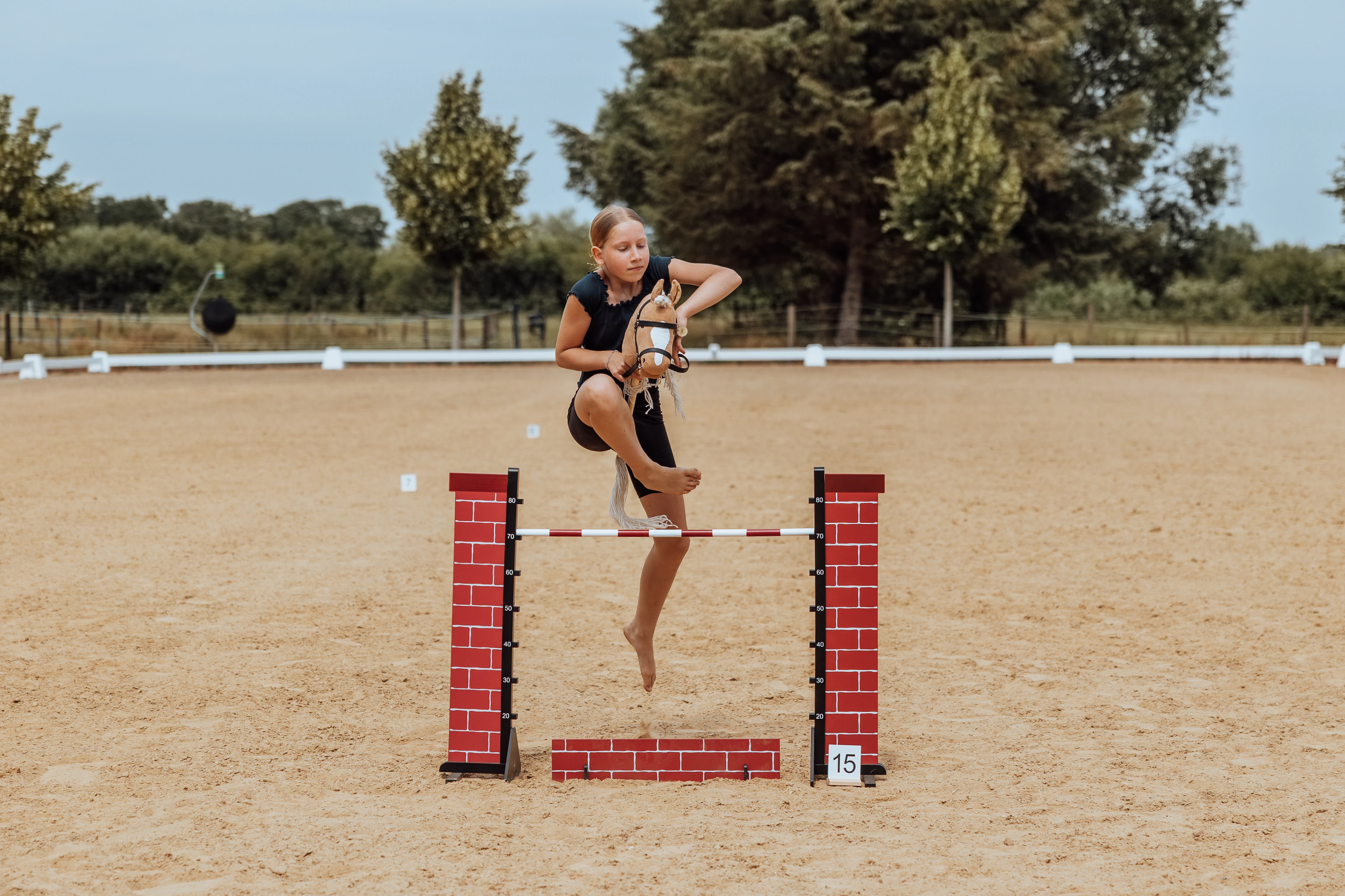 Hobby Horse Show Jump Obstacle Brick wall byASTRUP