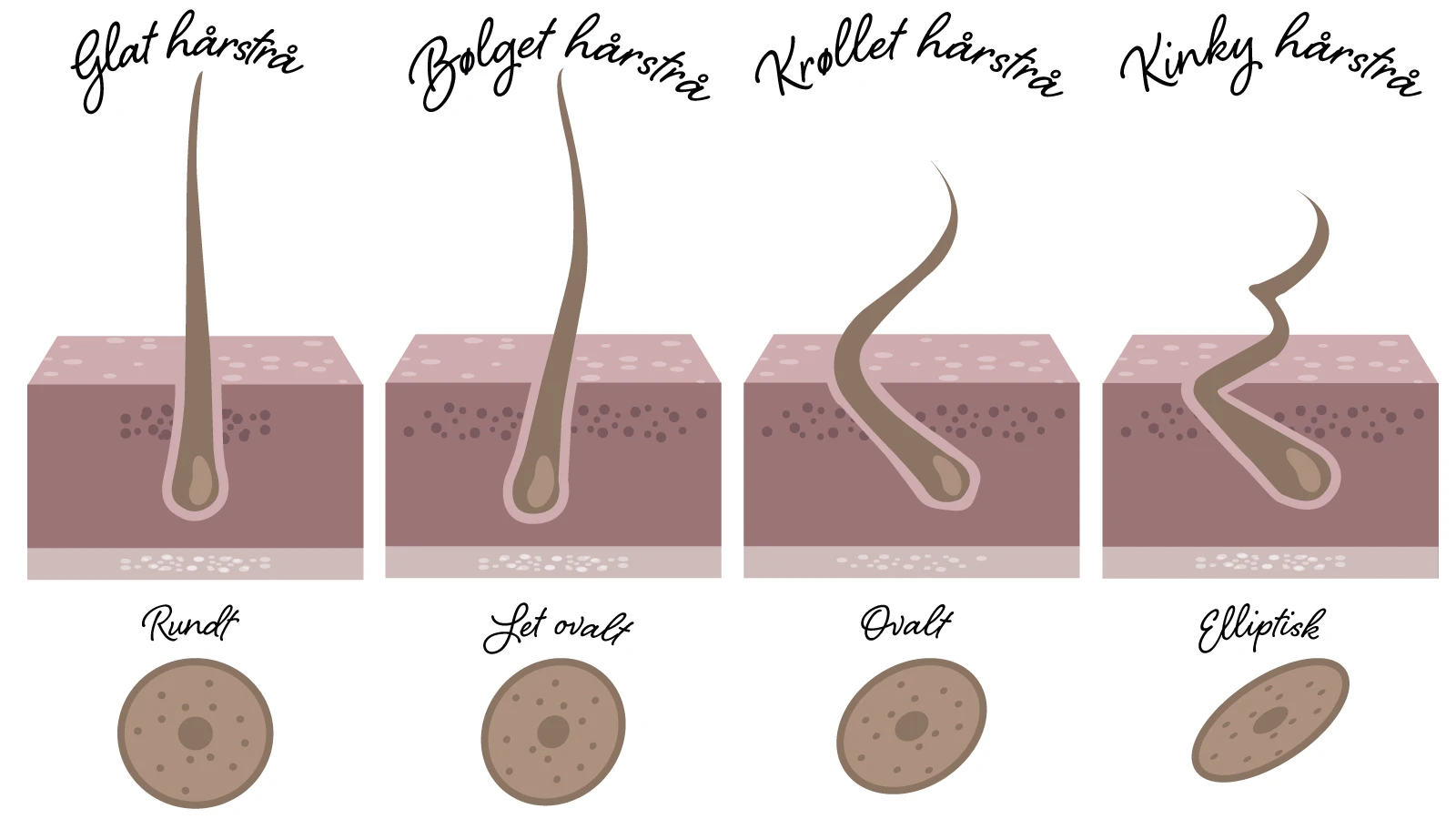 Krøllet hår – derfor har du krøller