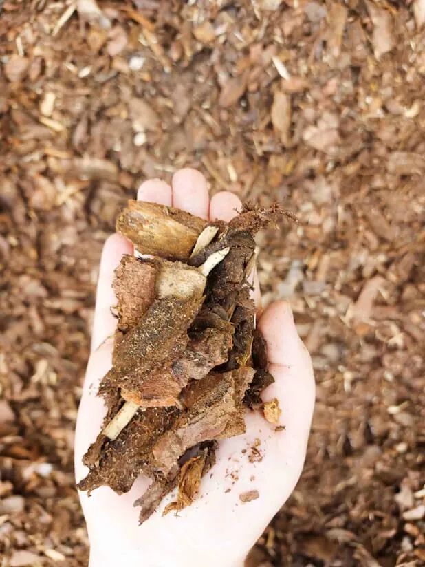 Billigt barkflis | PRISGARANTI | Høj kvalitet | Sandshoppen.dk