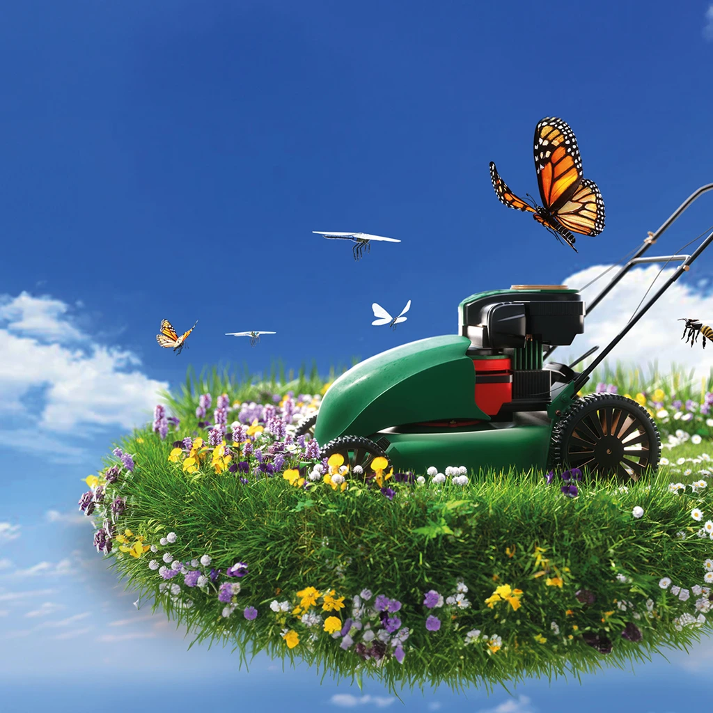 Græsfrø Barenbrug Happy Lawn | Få biodiversitet i din græsplæne