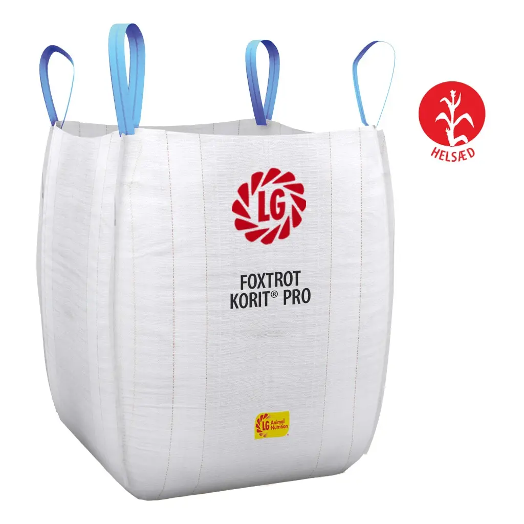 Majsfrø LG Foxtrot KORIT® PRO, big bag