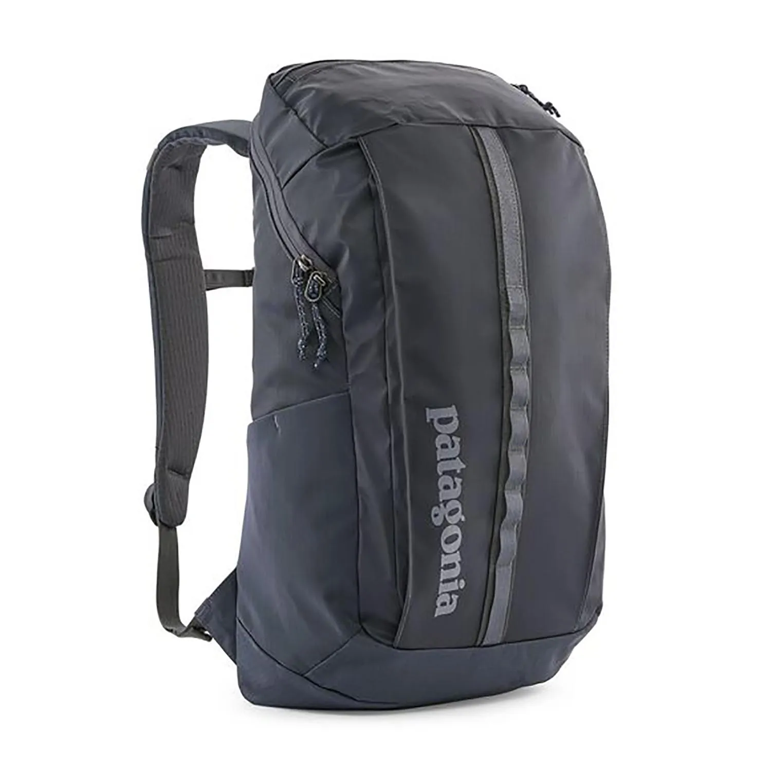 Patagonia Black Hole Pack 25l