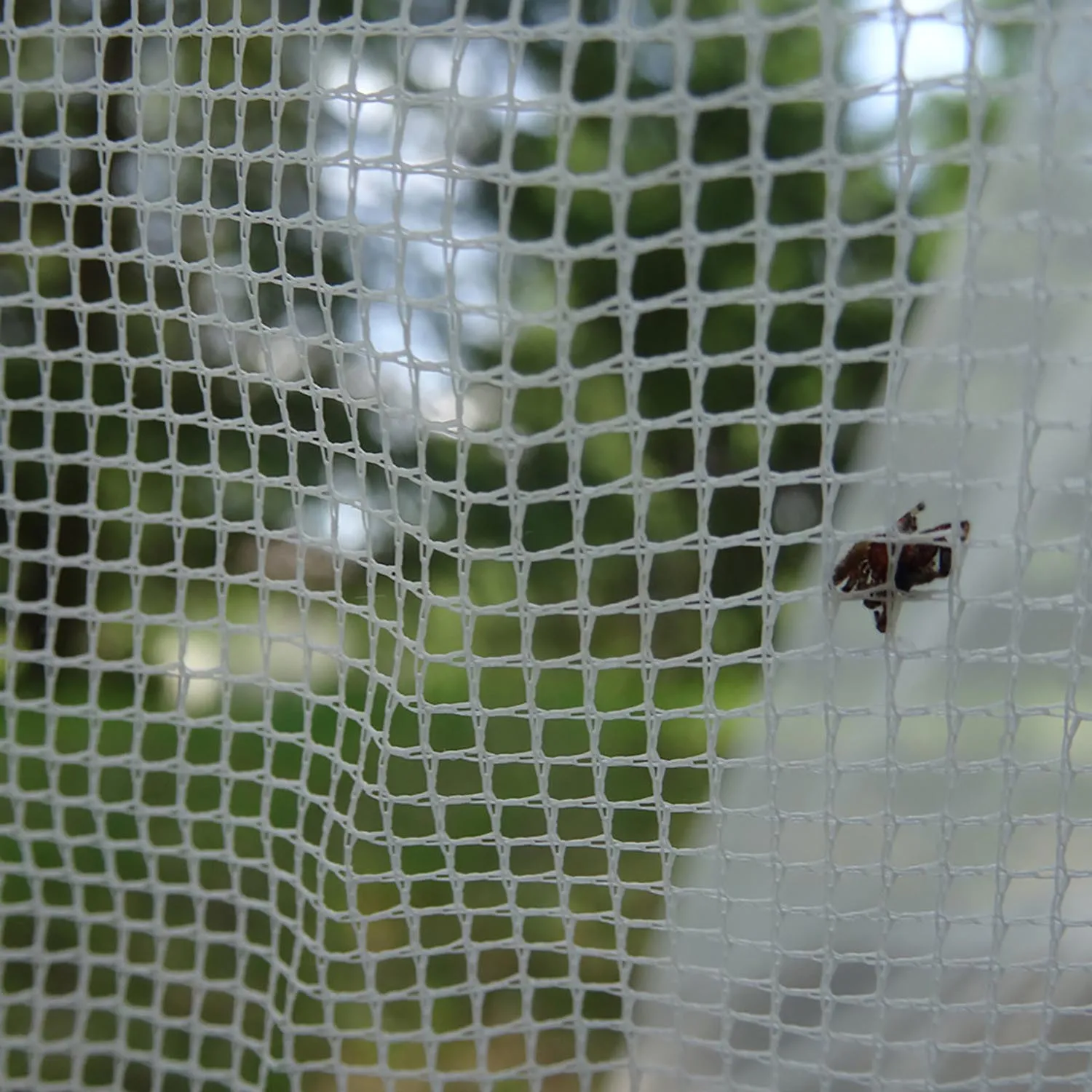 Beskyt dig mod myg med Pharmavoyage Mosquito Net