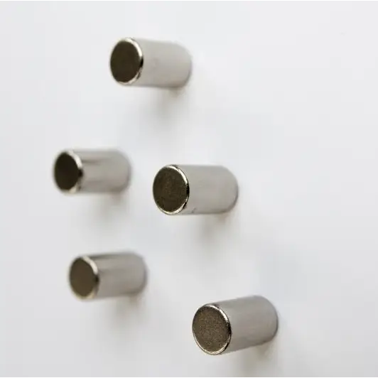 Lintex magneter, mat krom, runde, 5-pak