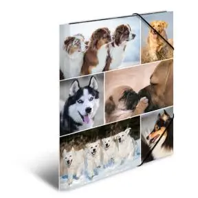 Elastikmappe A4 cardboard dogs - pris pr. mappe - Køb billigt på ...