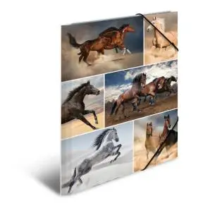 Elastikmappe A4 cardboard horses - Køb billigt på Grafical.dk