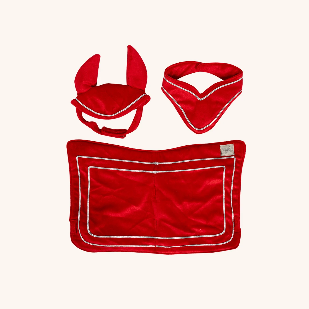 Elevate Your Hobby Horse Look with the Stunning Red Show Set from ...