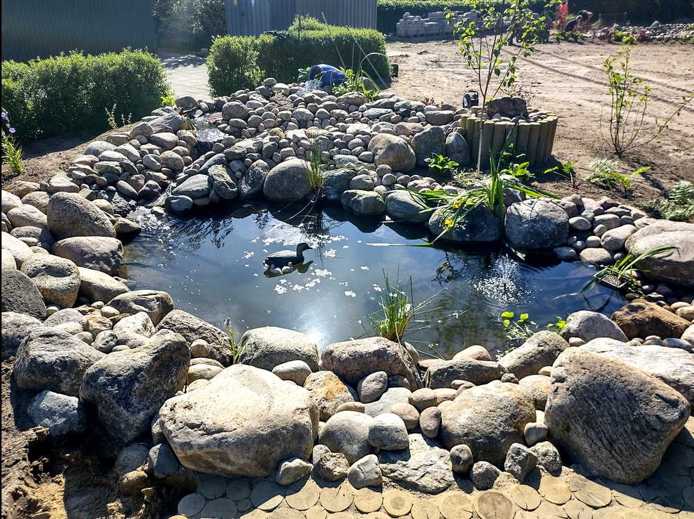 Etablering af regnbede