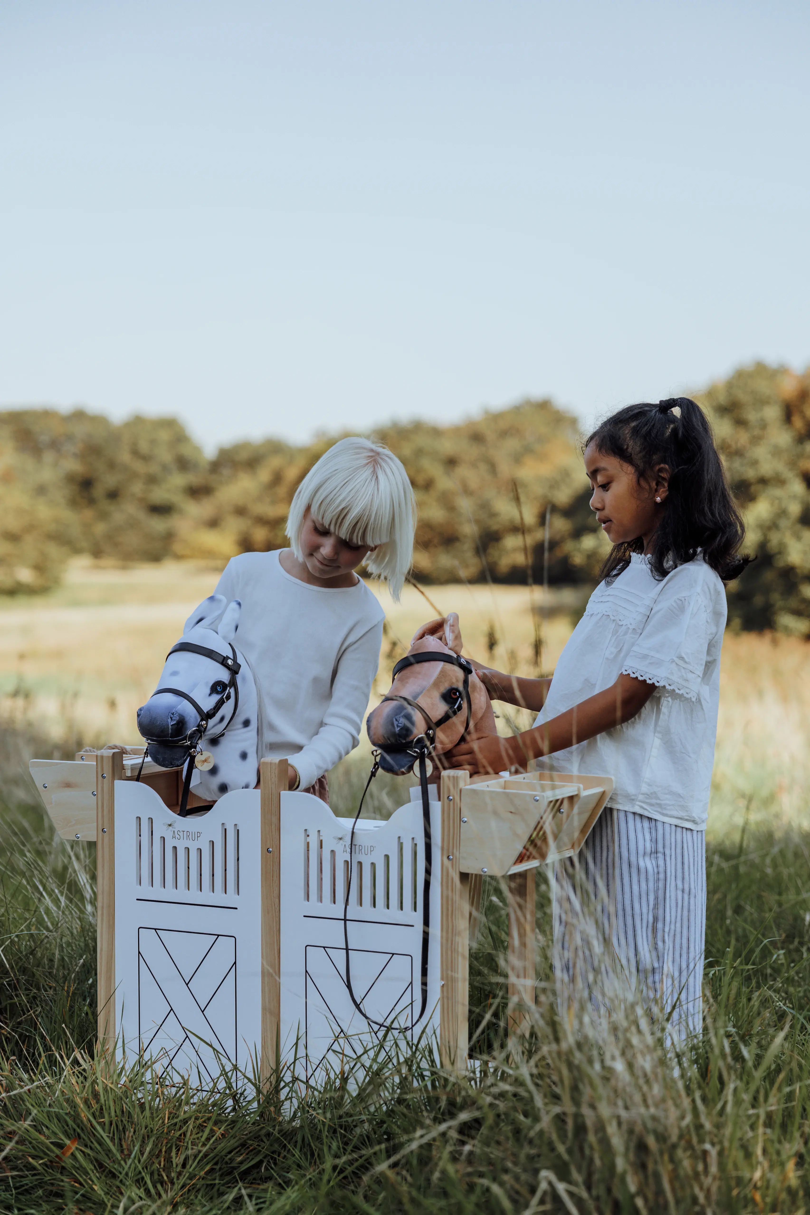 Premium Hobby Horse Box for 4 Hobby Horses - Buy Now!