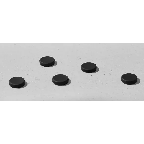Lintex magneter, rund, sort, 10-pak