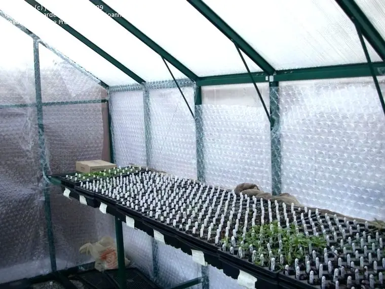 Bubble Wrap - Prices and offers on bubblewrap