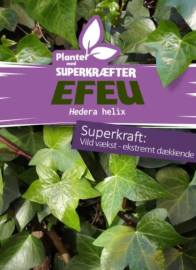 Planter med Superkræfter!