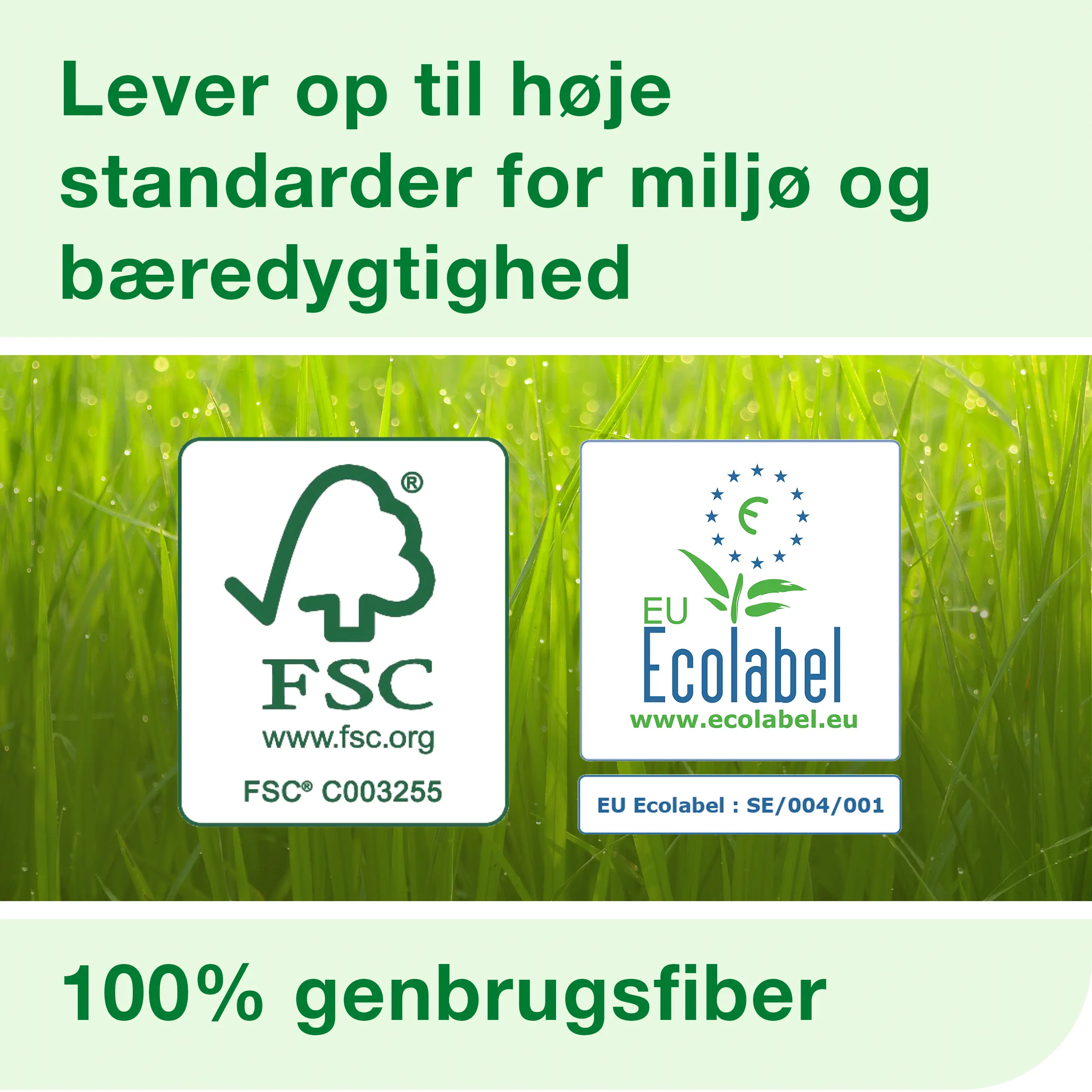 Aftørringspapir Tork 120150 Basic M2 1-lags gul 300 meter - 6 ruller ...