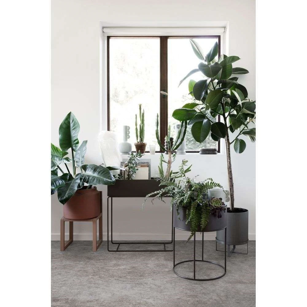 Plant Plant Box Black Ferm Living Buy Online