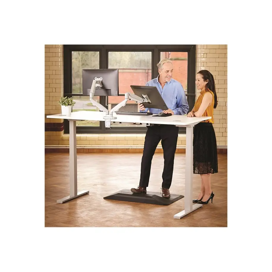 Monitor arm Fellowes Eppa dual silver - Køb billigt på Grafical.dk