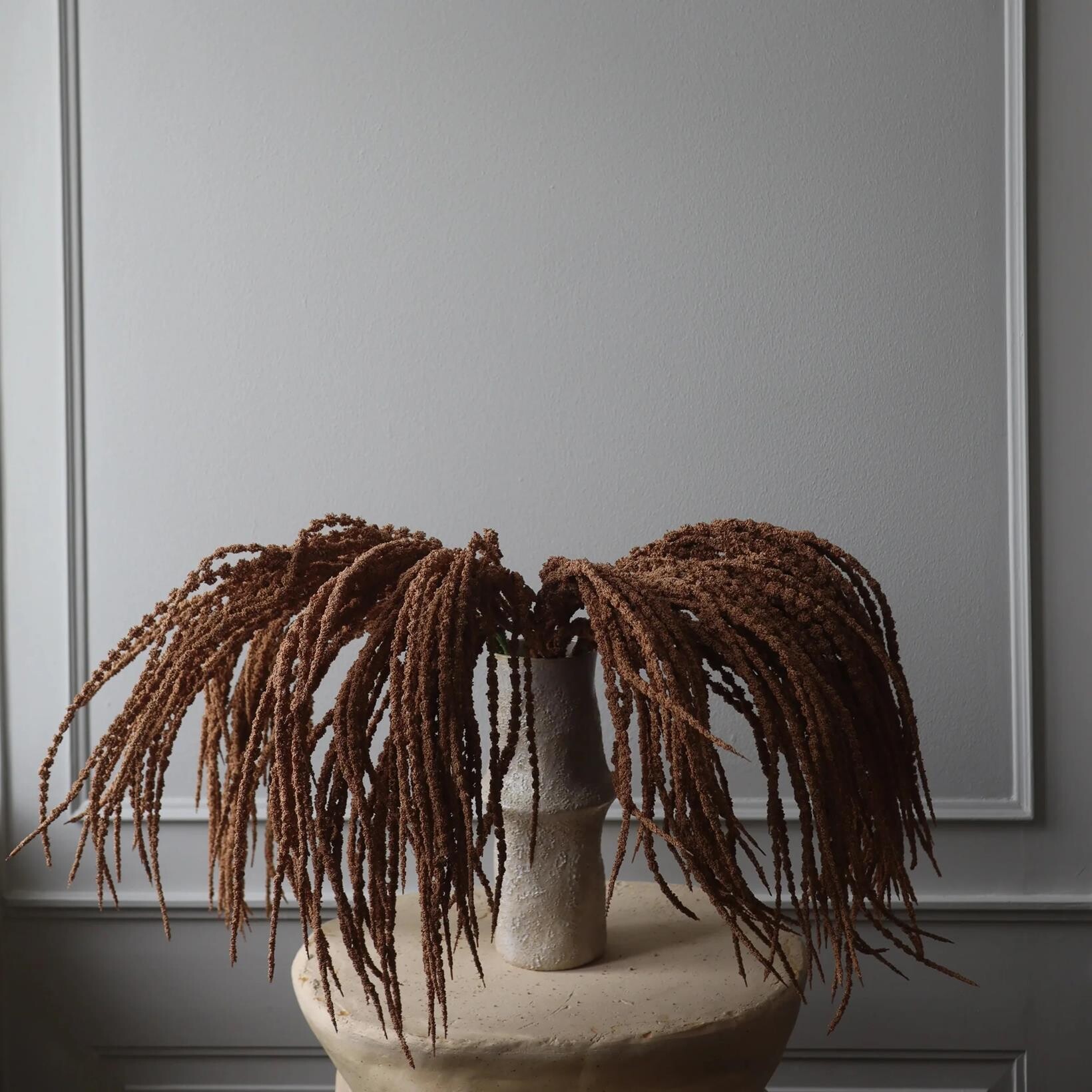 Botané Studios Amaranthus Caudatus 'Dreadlocks' Flower Light Brown ...