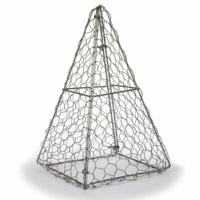 Køb Pyramid Topiary Frame her! | Hurtig fragt og grogaranti på planter