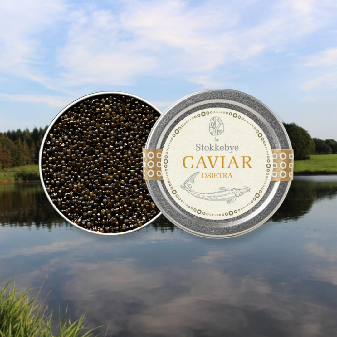 Osietra Caviar By Stokkebye