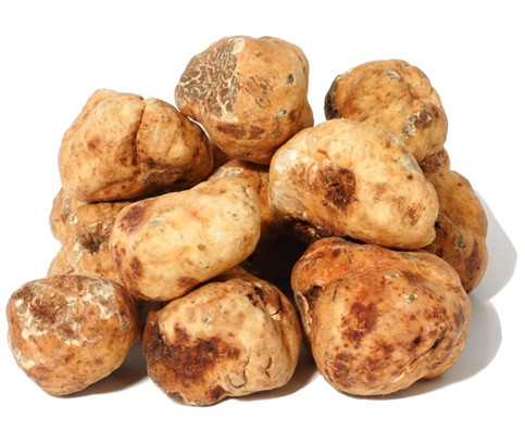 Se hvilken trøffel der er i sæson