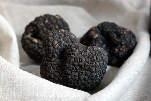 Se hvilken trøffel der er i sæson