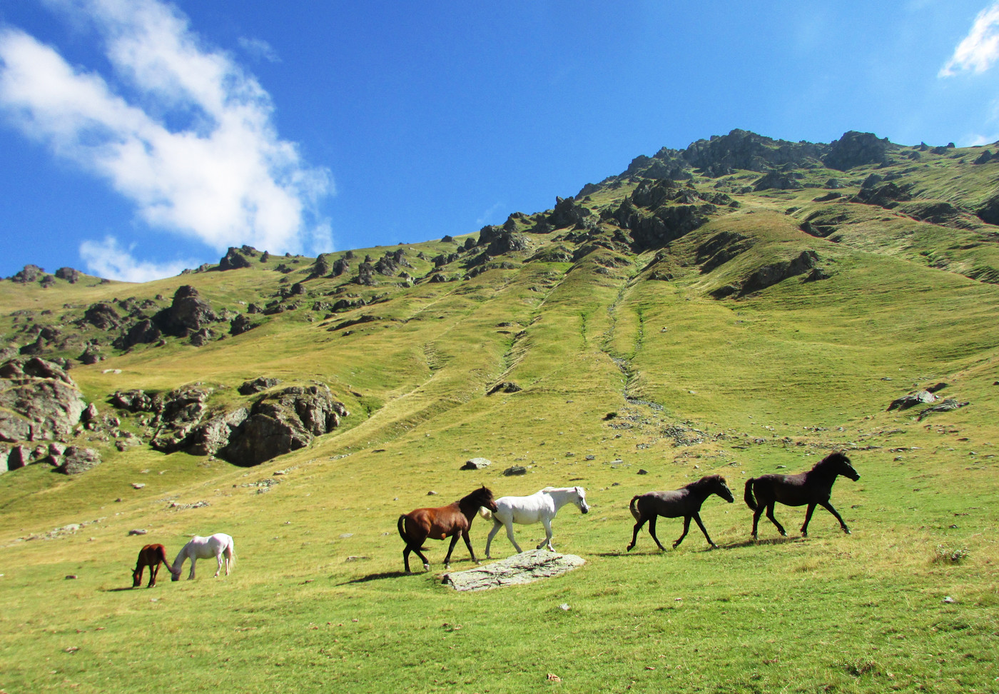 Vandring i Albanien | Trekking i de albanske alper