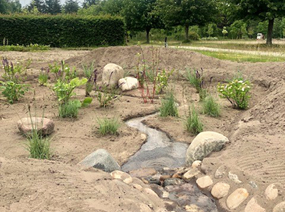 Etablering af regnbede