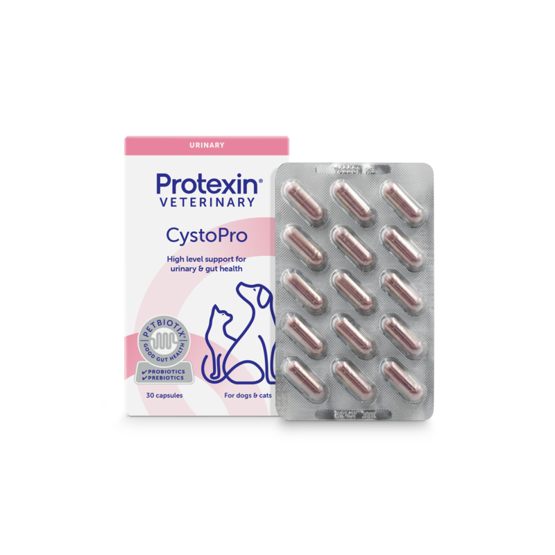 CystoPro 30 tab