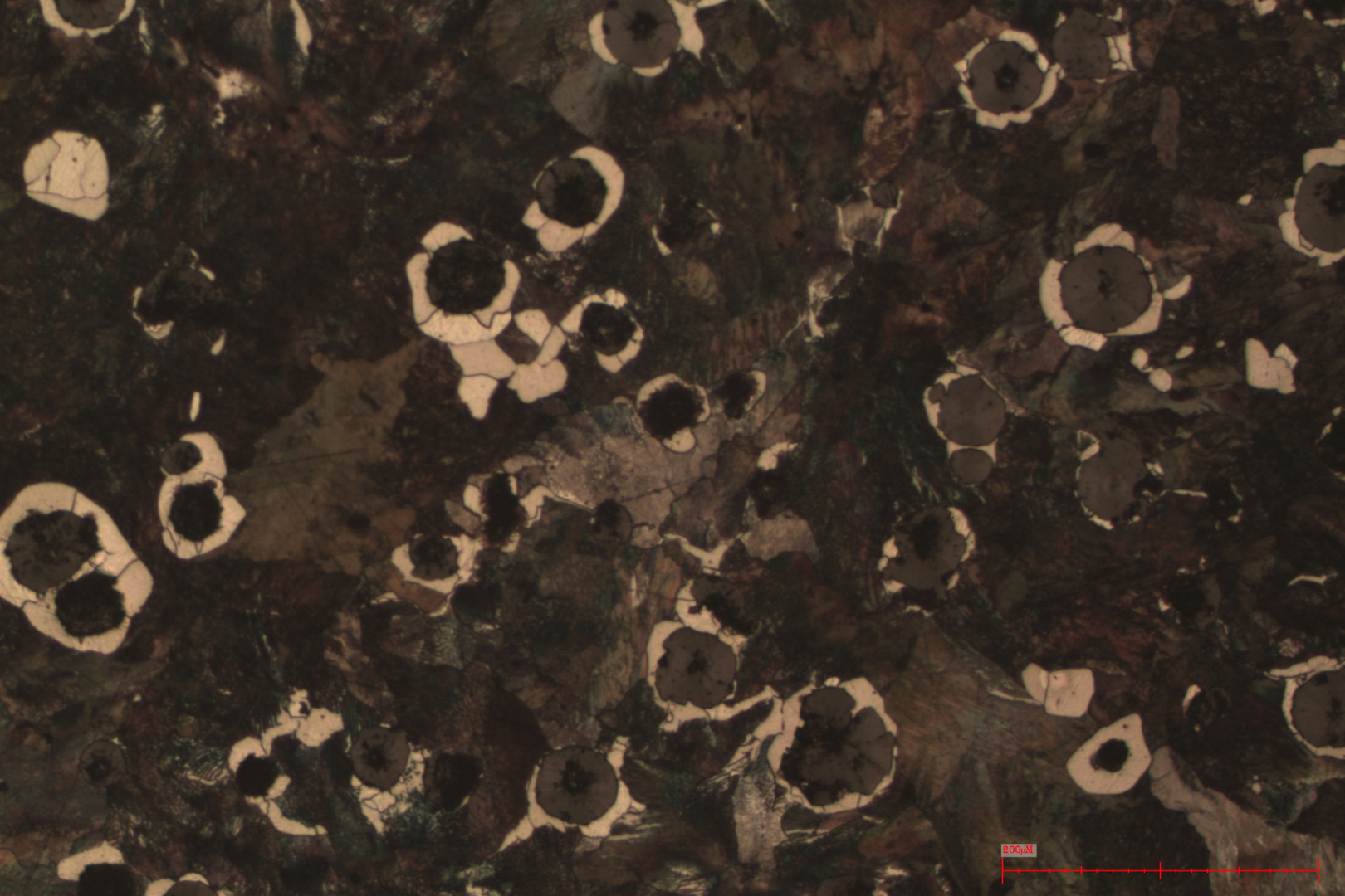 Ductile Iron | EN-GJS-800-2C | TassoBar