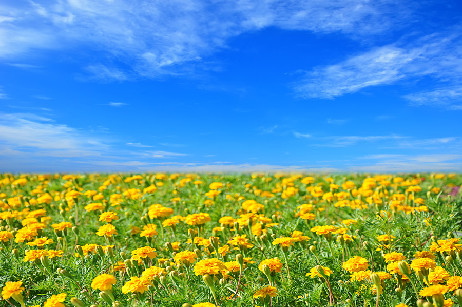 En solstrålehistorie